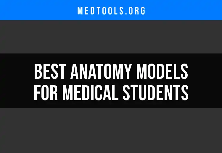 Top 10 Anatomy Models for Aspiring Medical Students